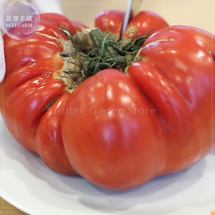 tomato gigantomo