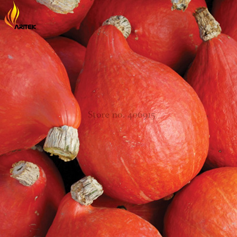 US$ 0.91 - Red Kuri Winter Squash Seeds, Professional Pack, 10 Seeds ...