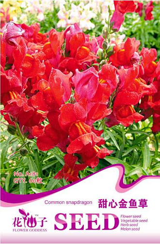 US$ 0.73 - Red Baby Snapdragon Seeds, Original Pack, 60 Seeds / Pack ...