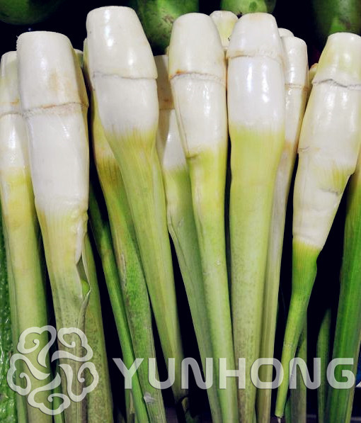 US$ 0.98 - 100PCS, Zizania Latifolia Seeds, Aquatic vegetables ...