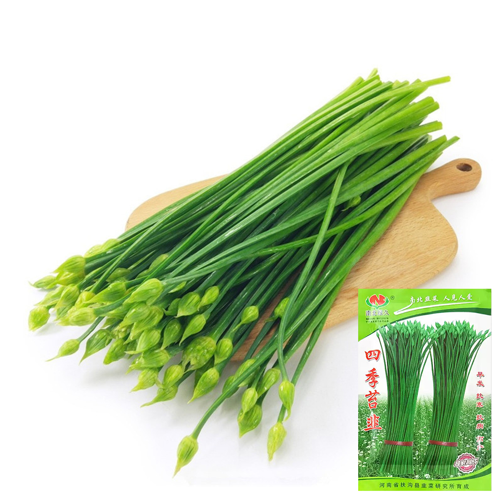 chive leek