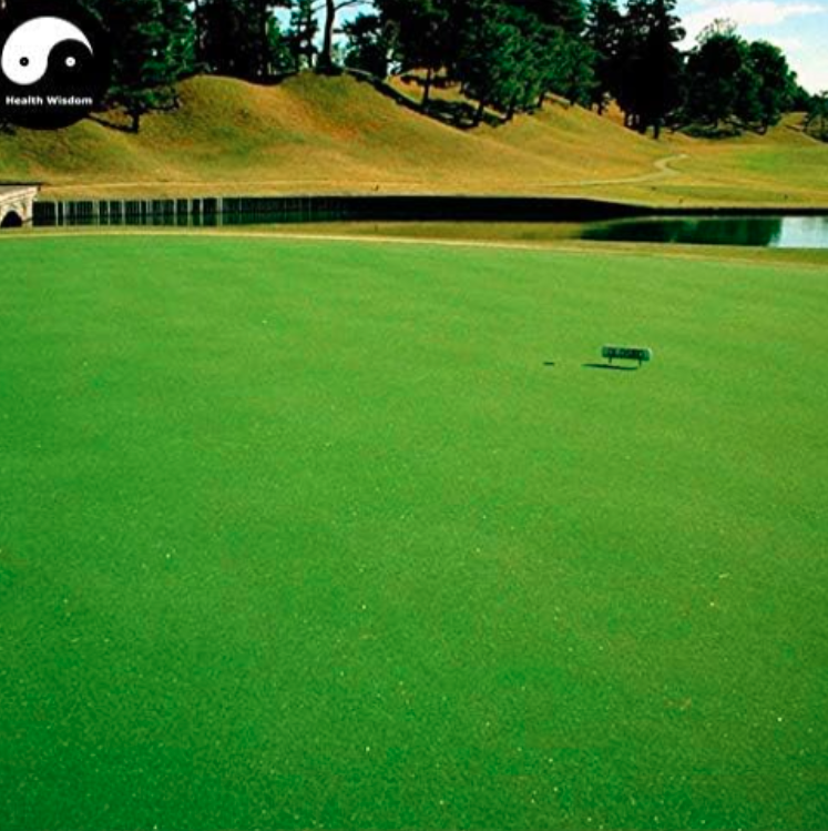 US$ 2.18 - Evergreen Golf Lawn Grass Seeds Evergreen Garden Lawn Grass - www.deargogo.com