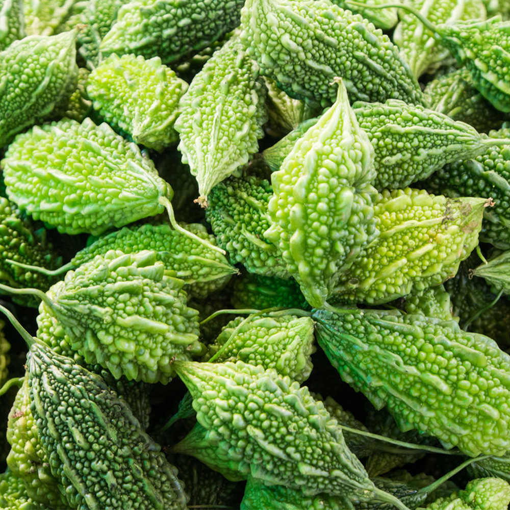 Black Bitter Melon Seeds for Planting - Mild Taste