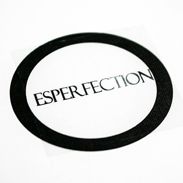 ESPerfection by Tibor - Magic Trick - China Magic Shop