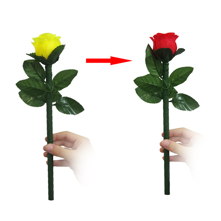 flower card magic trick