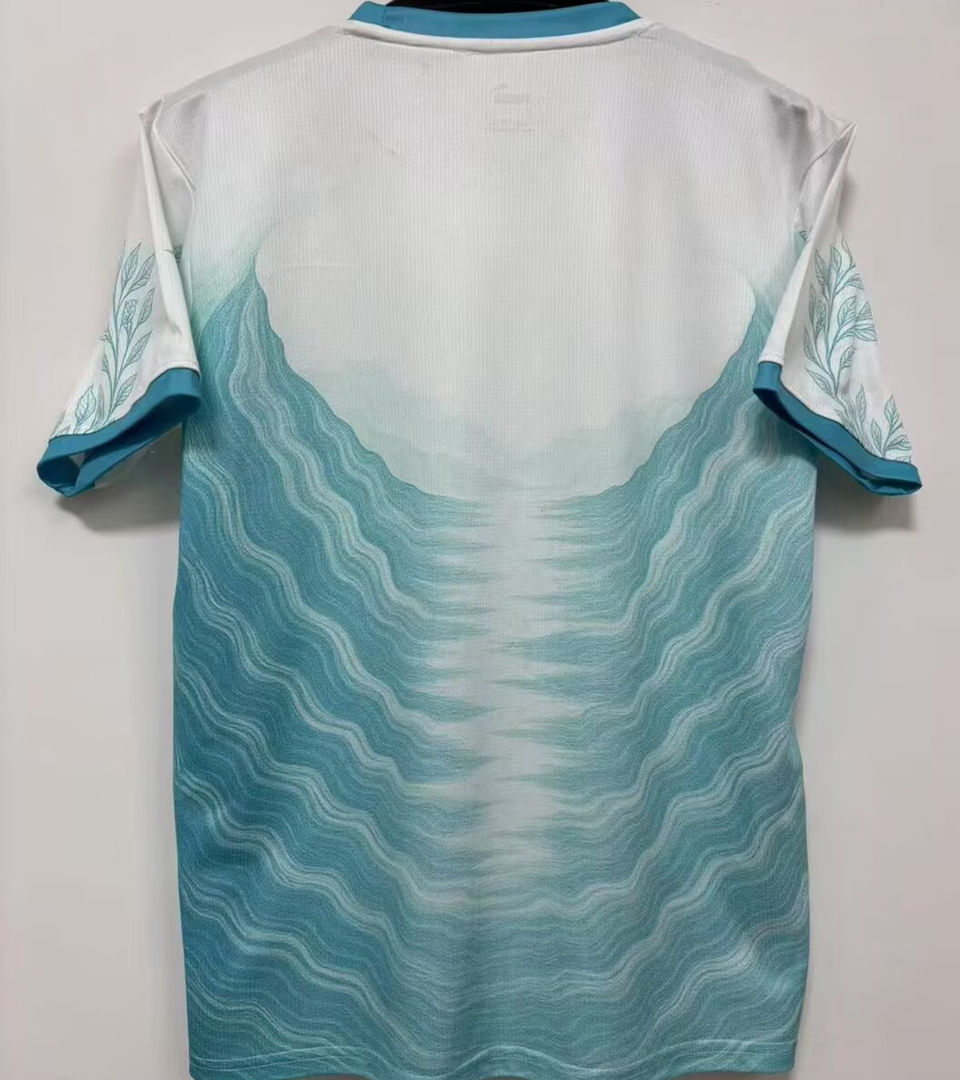 2025/26 Israel Special Edition Fans Soccer Jersey