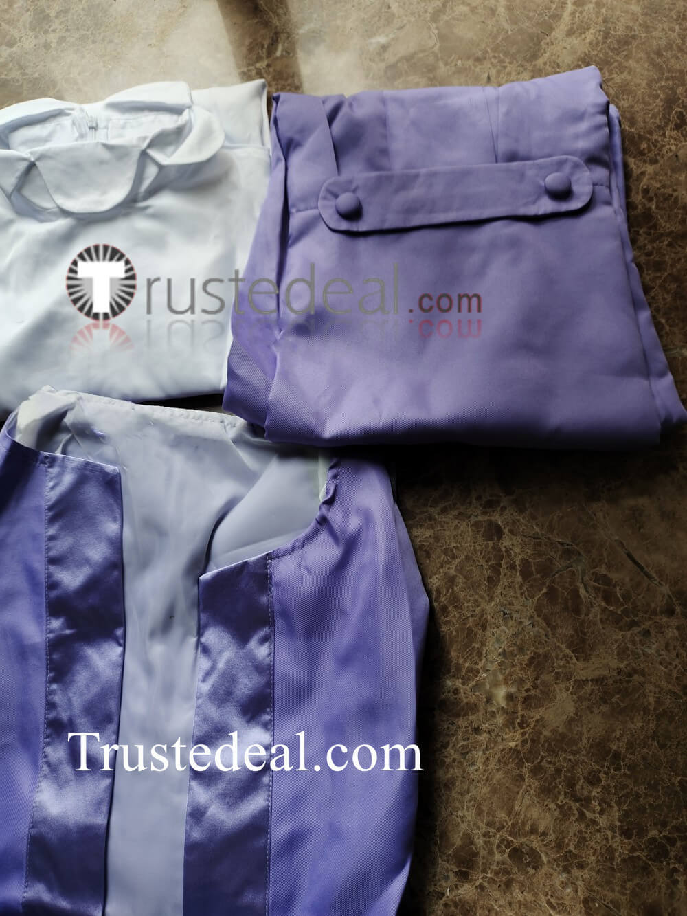 Pokemon Scarlet and Violet Elite Four Poppy Cosplay Costume