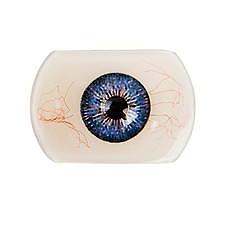 Fヘッド & 168cm C-cup シリコン頭部+TPEボディXYdoll