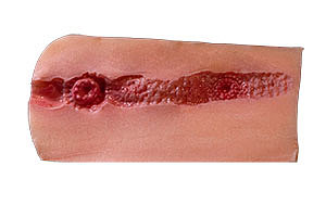 狐の可愛い143身長ダッチワイフ S58凛墨 爆乳sexドール Kカップ