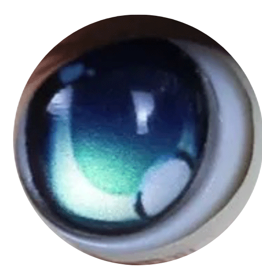 狐の可愛い143身長ダッチワイフ S58凛墨 爆乳sexドール Kカップ