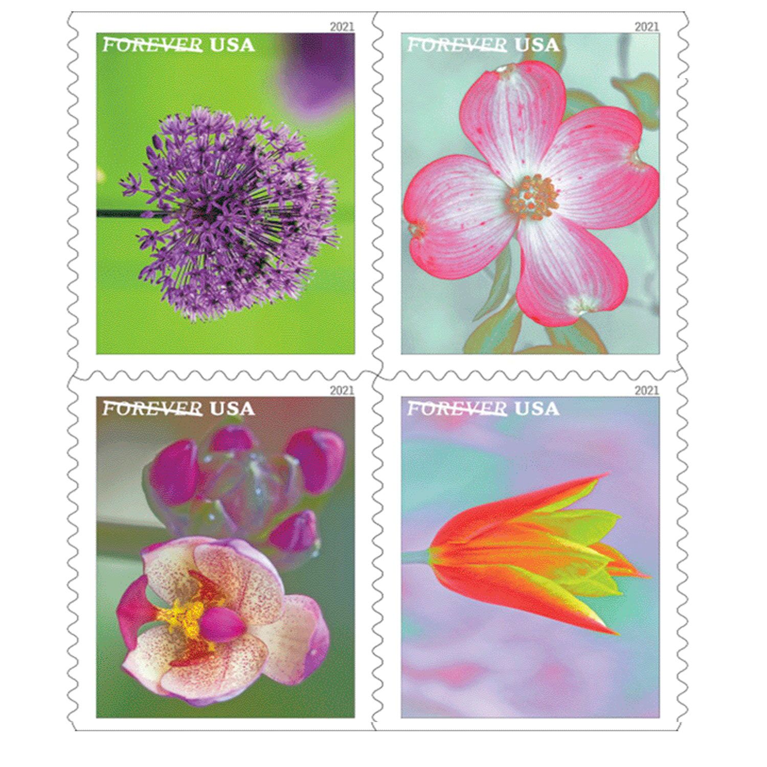 US$ 27.99 - Garden Beauty 2021 - 5 Booklets / 100 Pcs - www.stpsod.com