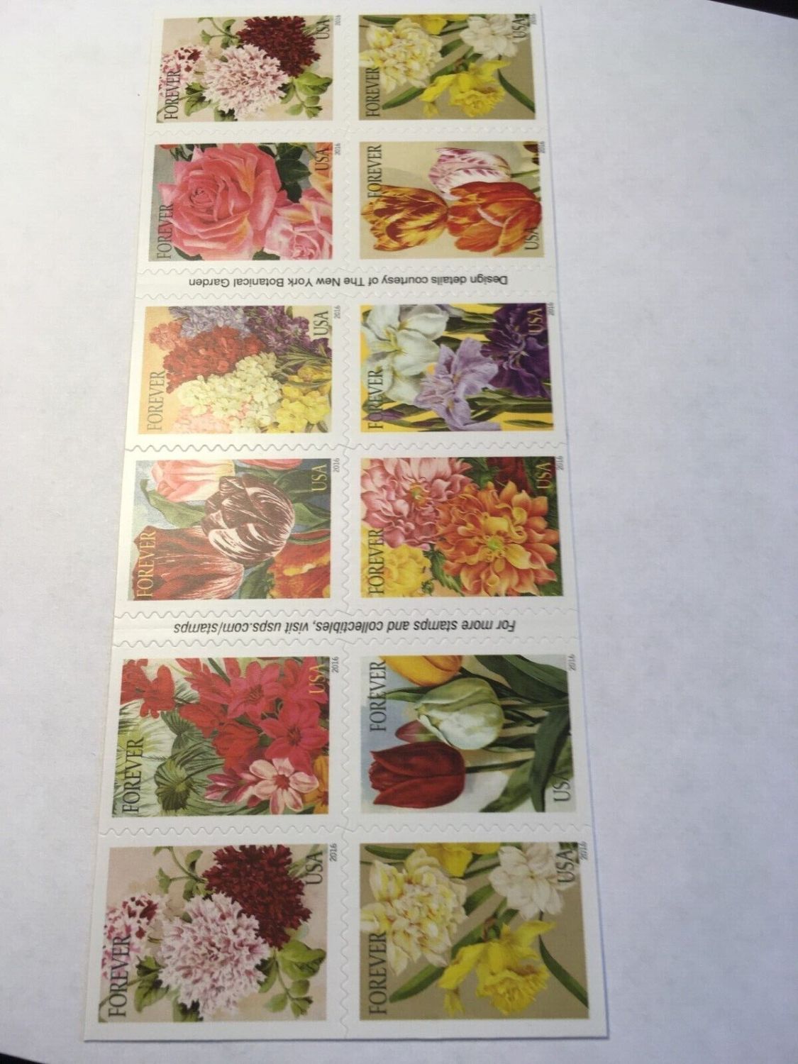 US$ 27.99 - Botanical Art 2016 - 5 Booklets / 100 Pcs - www.stpsod.com