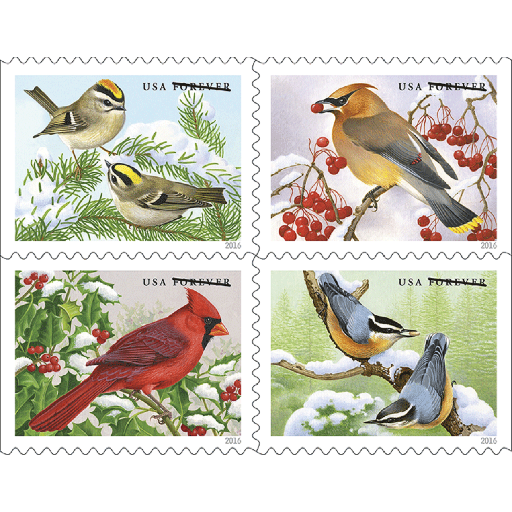 US$ 27.99 - Songbirds in Snow 2016 - 5 Booklets / 100 Pcs - www.stpsod.com