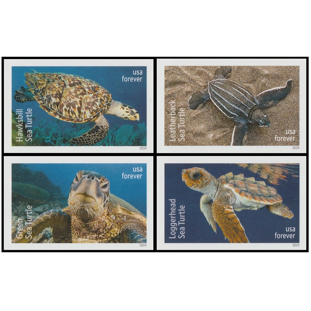US$ 27.99 - Protect Sea Turtles 2024 - 5 Sheets / 90 Pcs - www.stpsod.com