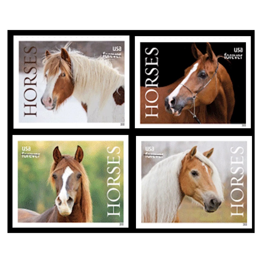 US$ 27.99 - Horses 2024 - 5 Sheets / 100 Pcs - www.stpsod.com
