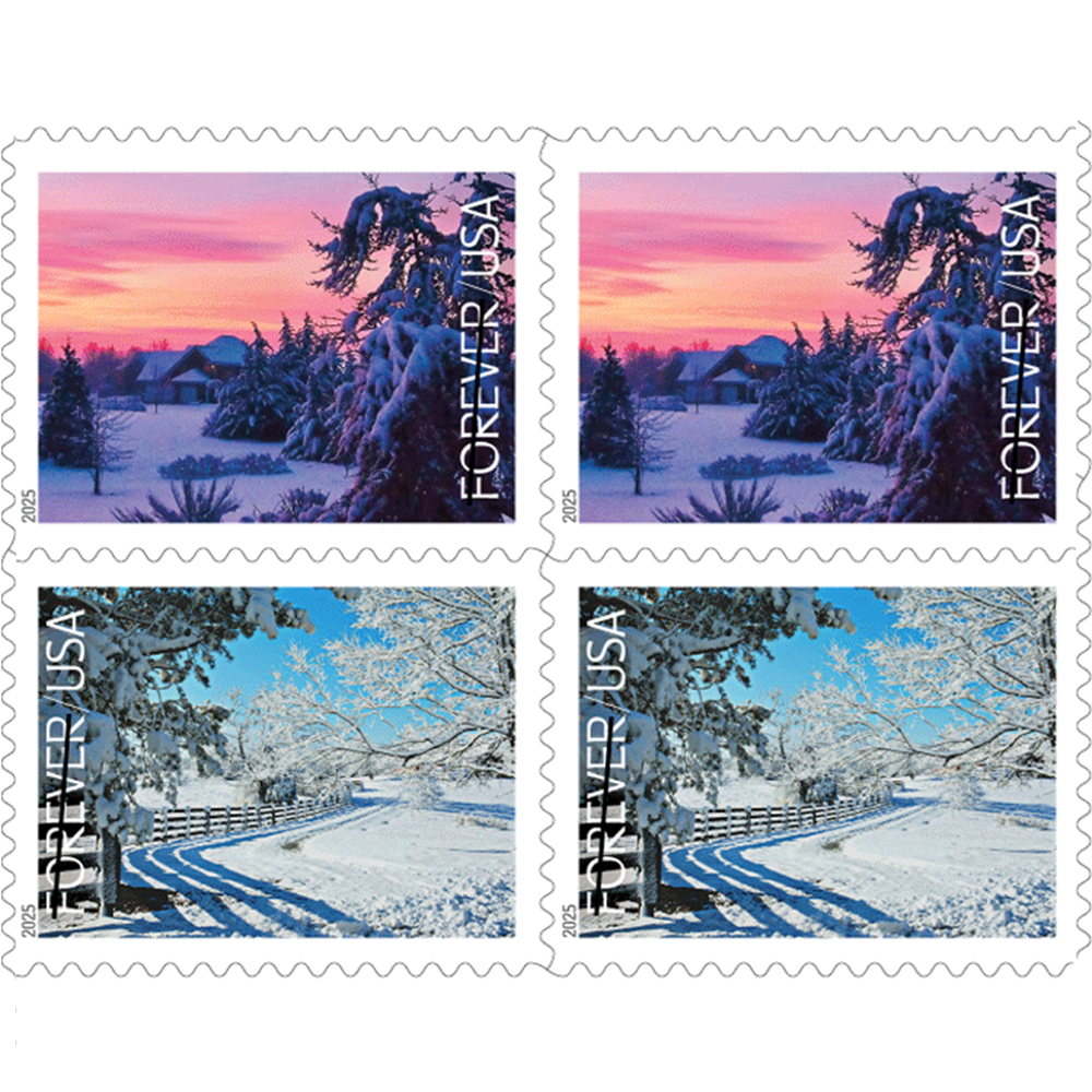 US$ 27.99 - Winter Landscapes 2025 - 5 Booklets / 100 Pcs - www.stpsod.com